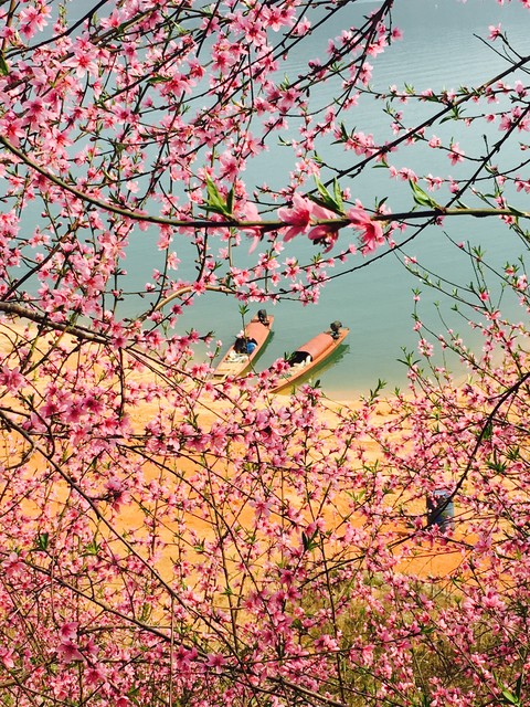 How to quickly and effectively obtain a tour guide license? - iMedia