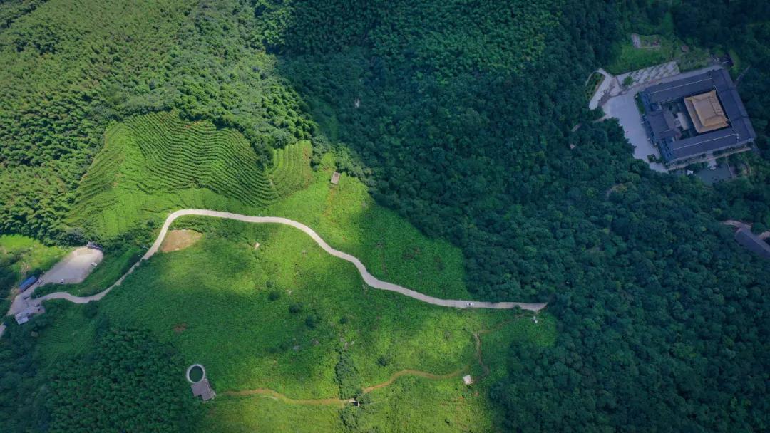 Explore the coolness in the north of Guangji Temple - iNEWS