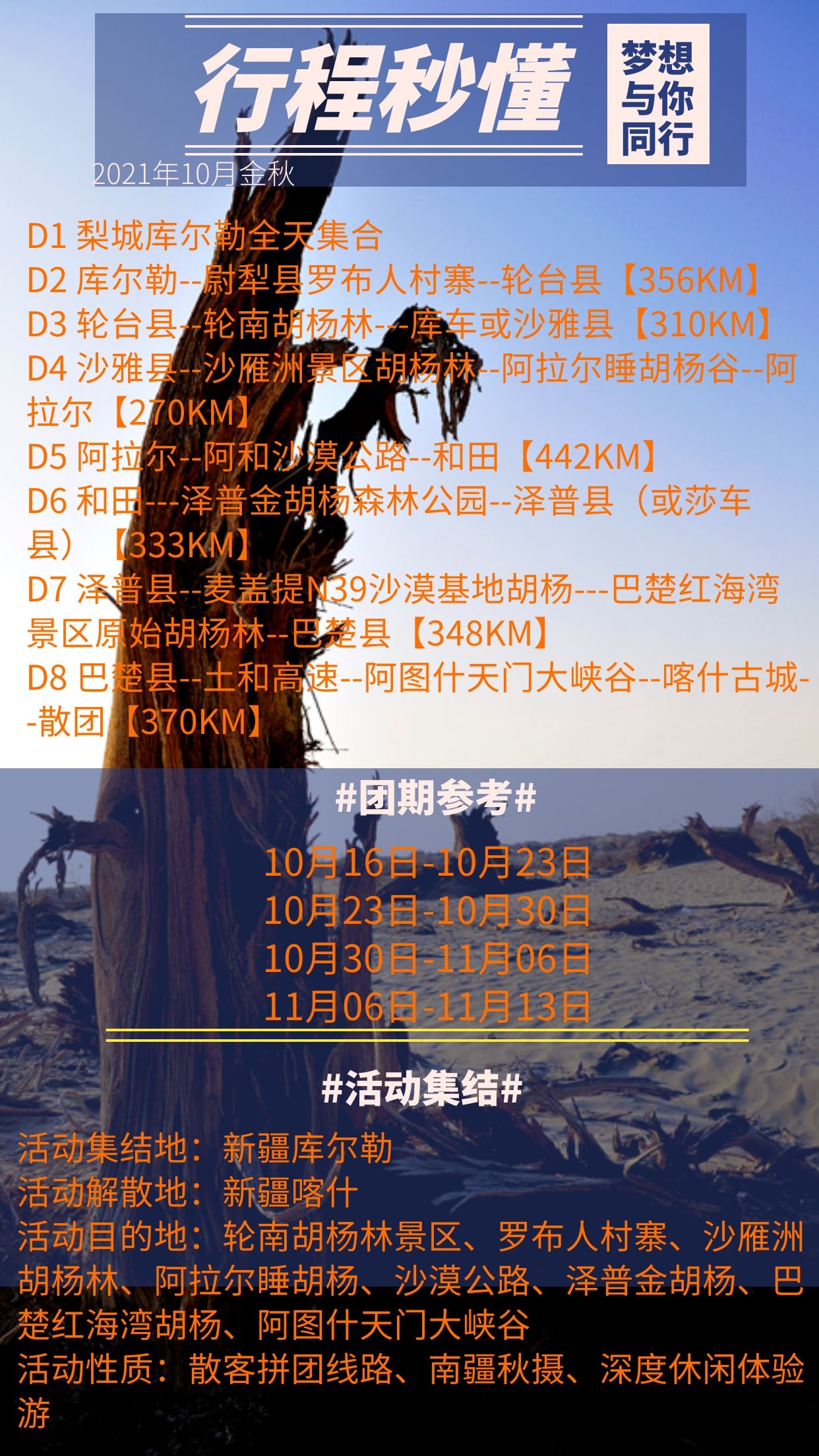 Populus euphratica in the golden autumn of 2021, the most charming ...