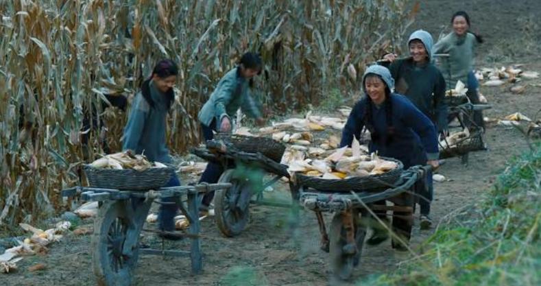 Jiang Xin's "strongness" has become an advantage, playing Shen Jilan's ...