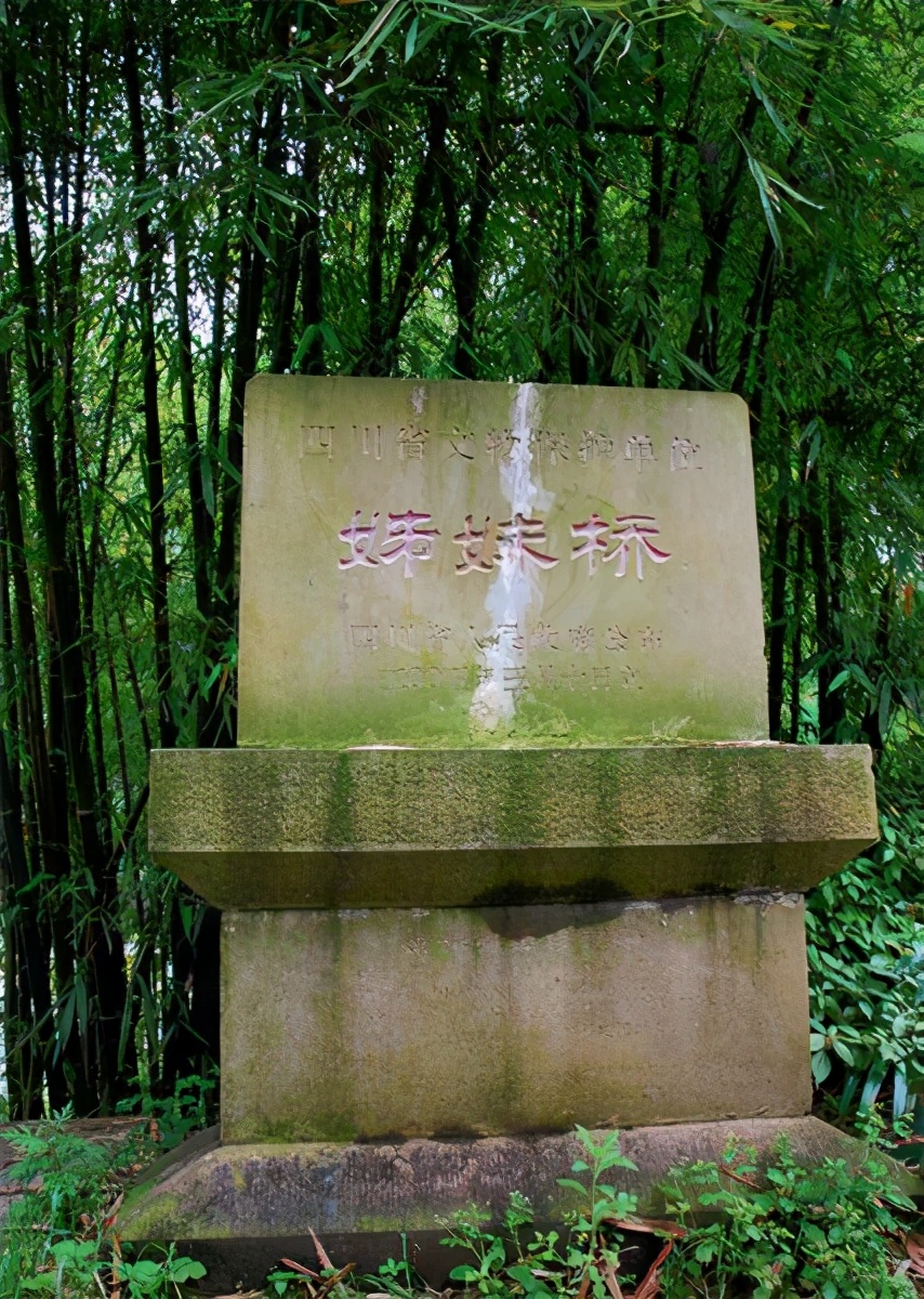 Shanye Tiancheng Sisters Bridge - iNEWS