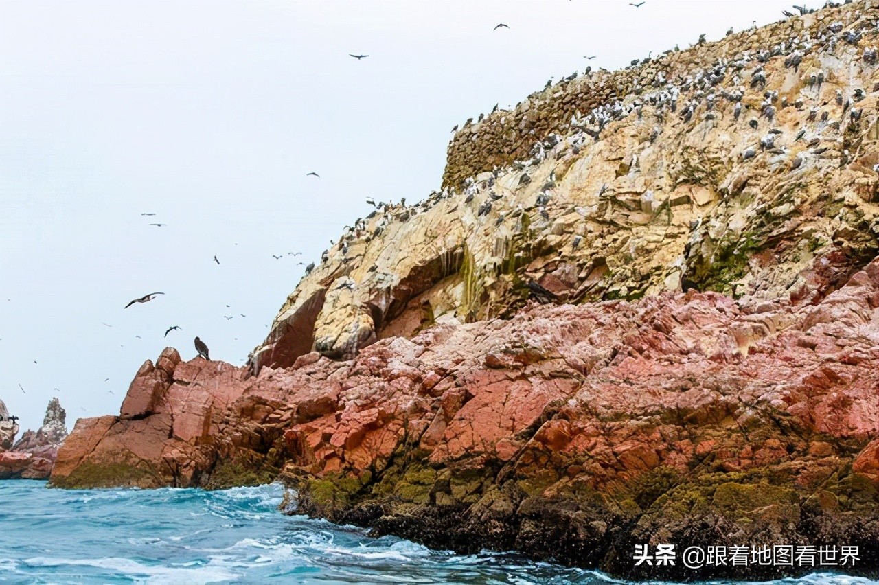 Why are Americans so fascinated by guano?How did the United States ...