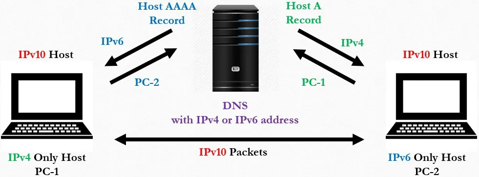 Why are there IPv4 and IPv6, but not IPv5?What new species is IPv10 ...