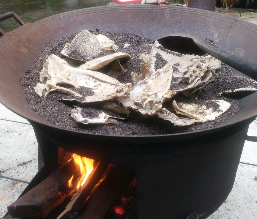 The tortoise shell is quenched with sand and vinegar to become a ...