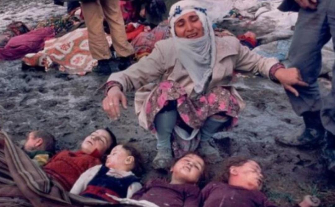 Five surprising inside stories of the Palestine-Israel conflict - iNEWS