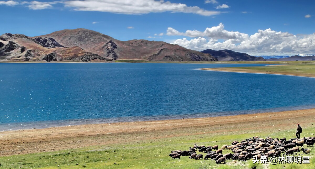 Wang Qi blew herself up and was scolded for music junk?Spring Festival ...