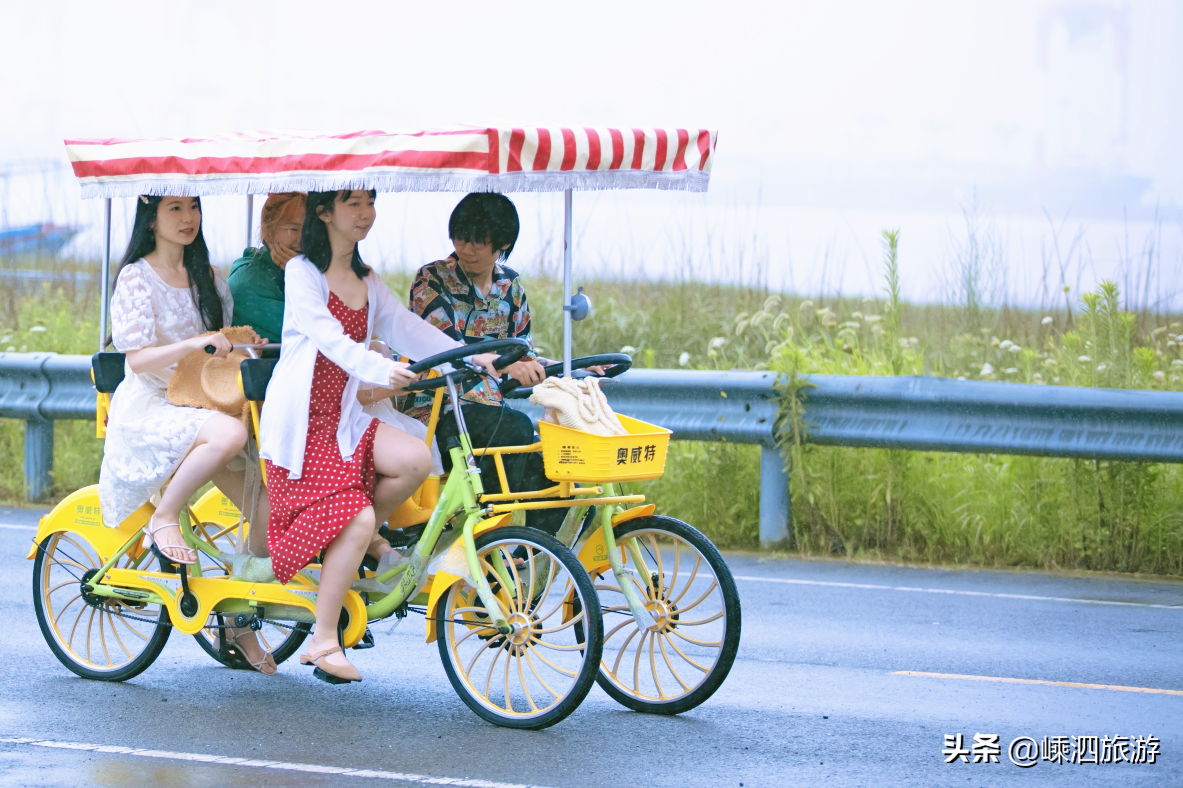 Check in the three islands of Yangshan, Chinese wolfberry, and ...