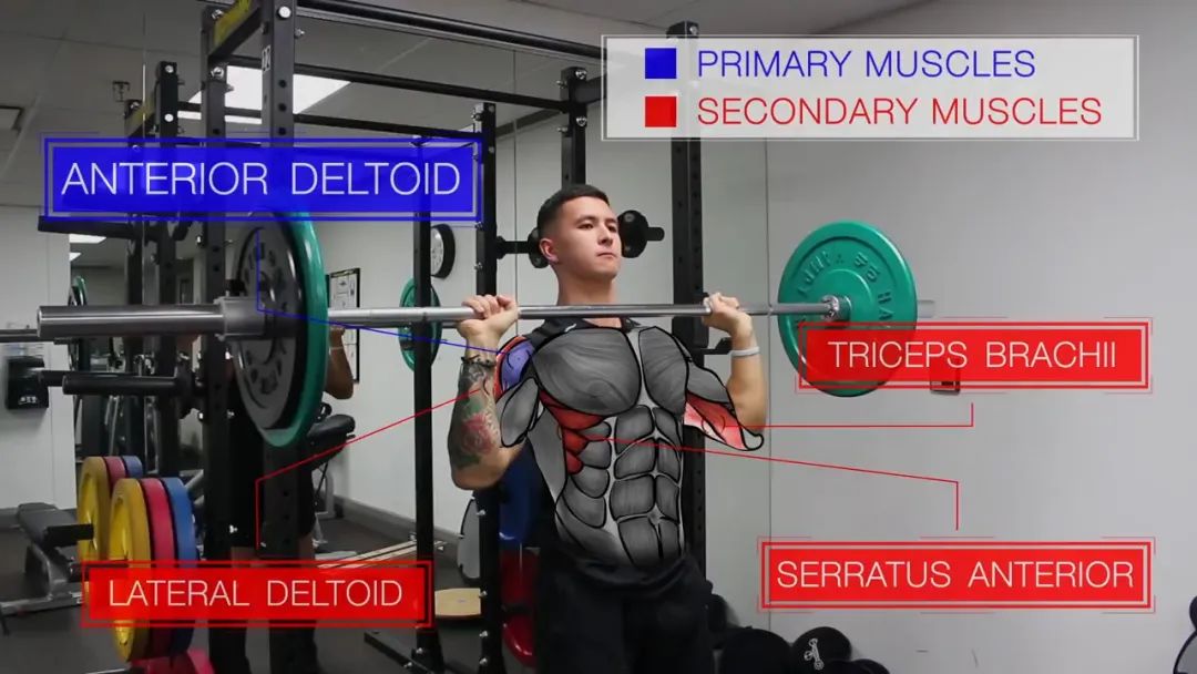 Ace training shoulder exercise "barbell over-the-head press", are you ...