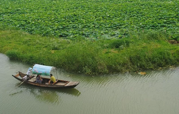 Chacha Lake National Wetland Park: visitors are like Zhihu Lake with ...