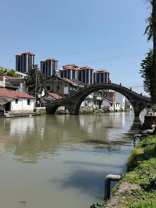 Jinmen.com Chen Yingguo: Shanghai's bridge - iNEWS
