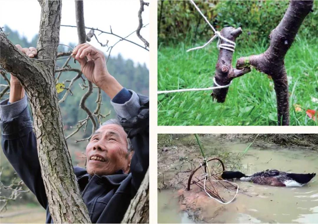 [Chongqing Folk Customs] Folk Customs of Material Production-Fishing ...