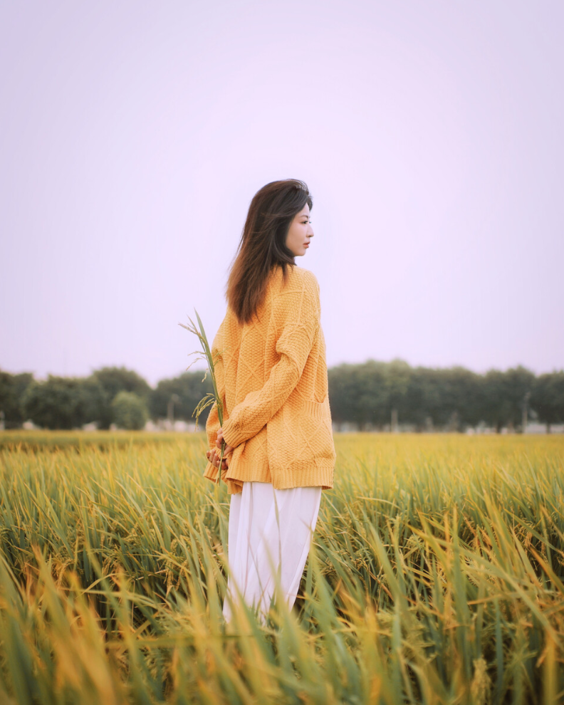 How to take a portrait photo of a rice field? Try these 7 photo poses ...