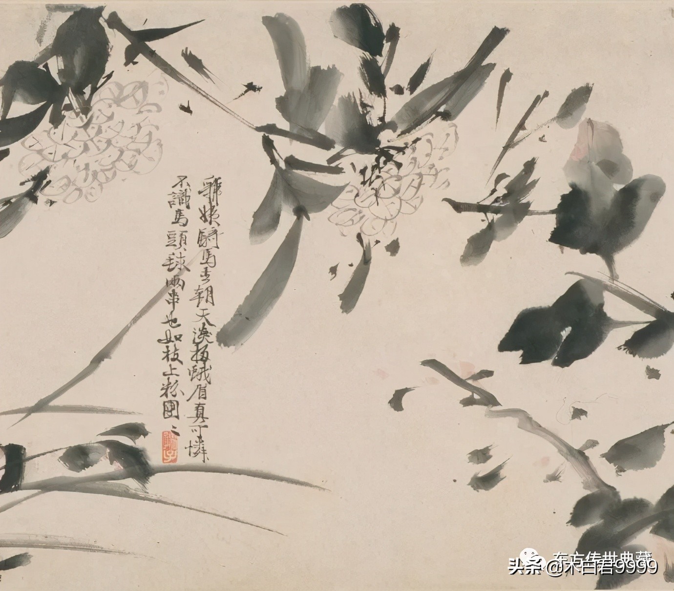Ming. Appreciation of Xu Wei's "Flower Picture Scroll" - iMedia