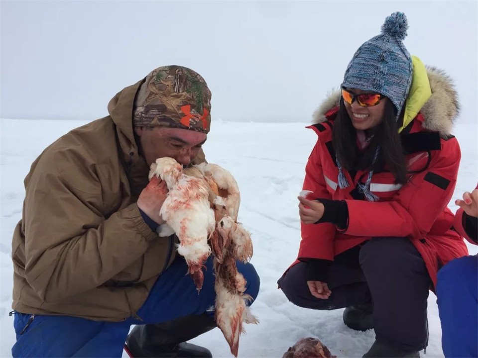 Inuit's delicacy "Pickled Puffin", sucks with the mouth after rotten ...
