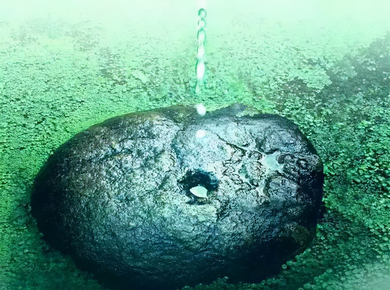 What is the principle of the ancient torture "drip torture" that can ...