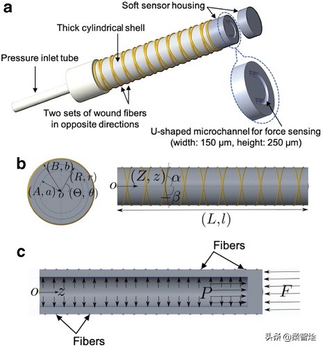 Dynamic force control sensing device of liquid metal flexible catheter ...
