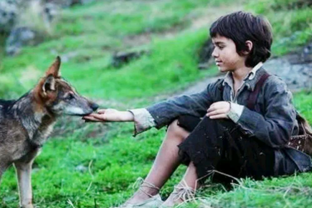 Why do wolves raise human babies instead of eating them when they meet ...