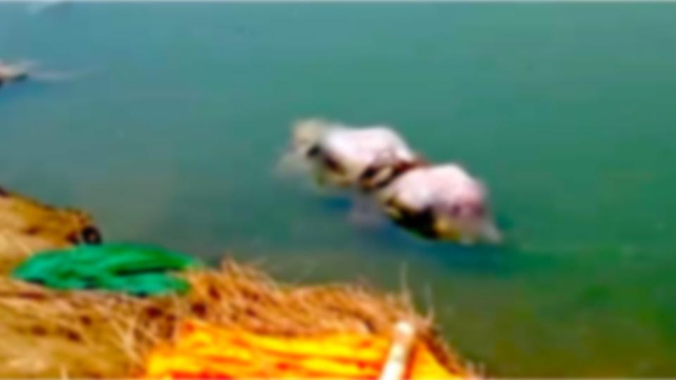 A human tragedy on the Ganges in India: a large number of floating ...