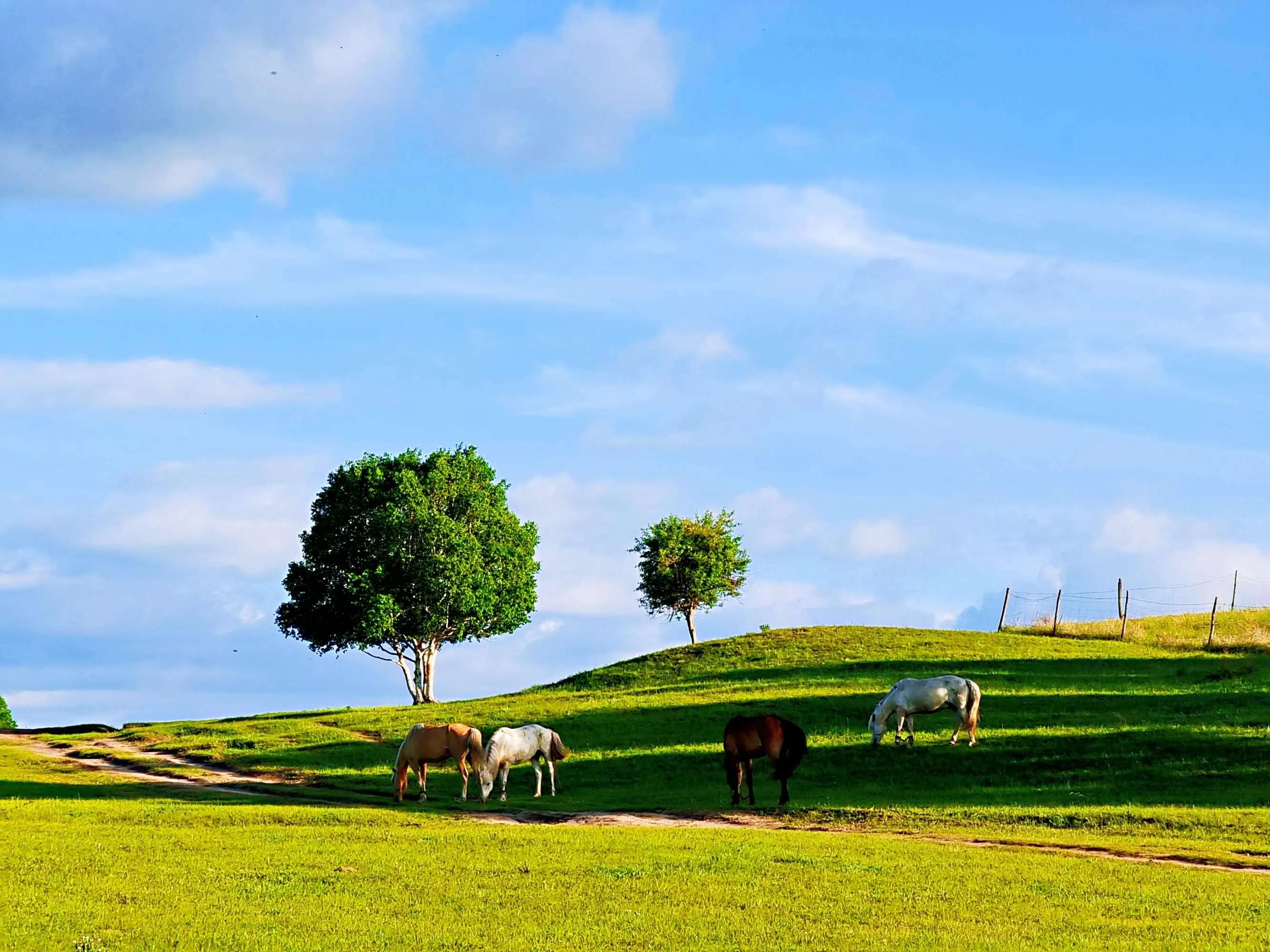 Traveling by car on the Ulan Butong grassland - iNEWS
