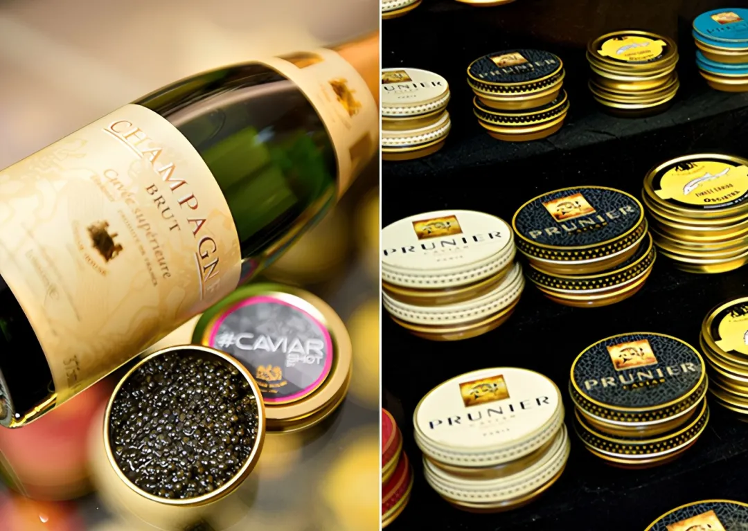 The 10 most expensive seafood delicacies in the world, have you ever ...