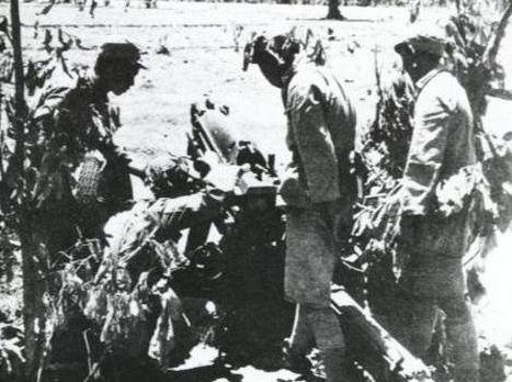 How beautiful was the battle of Tonggu?: The Chinese Expeditionary ...