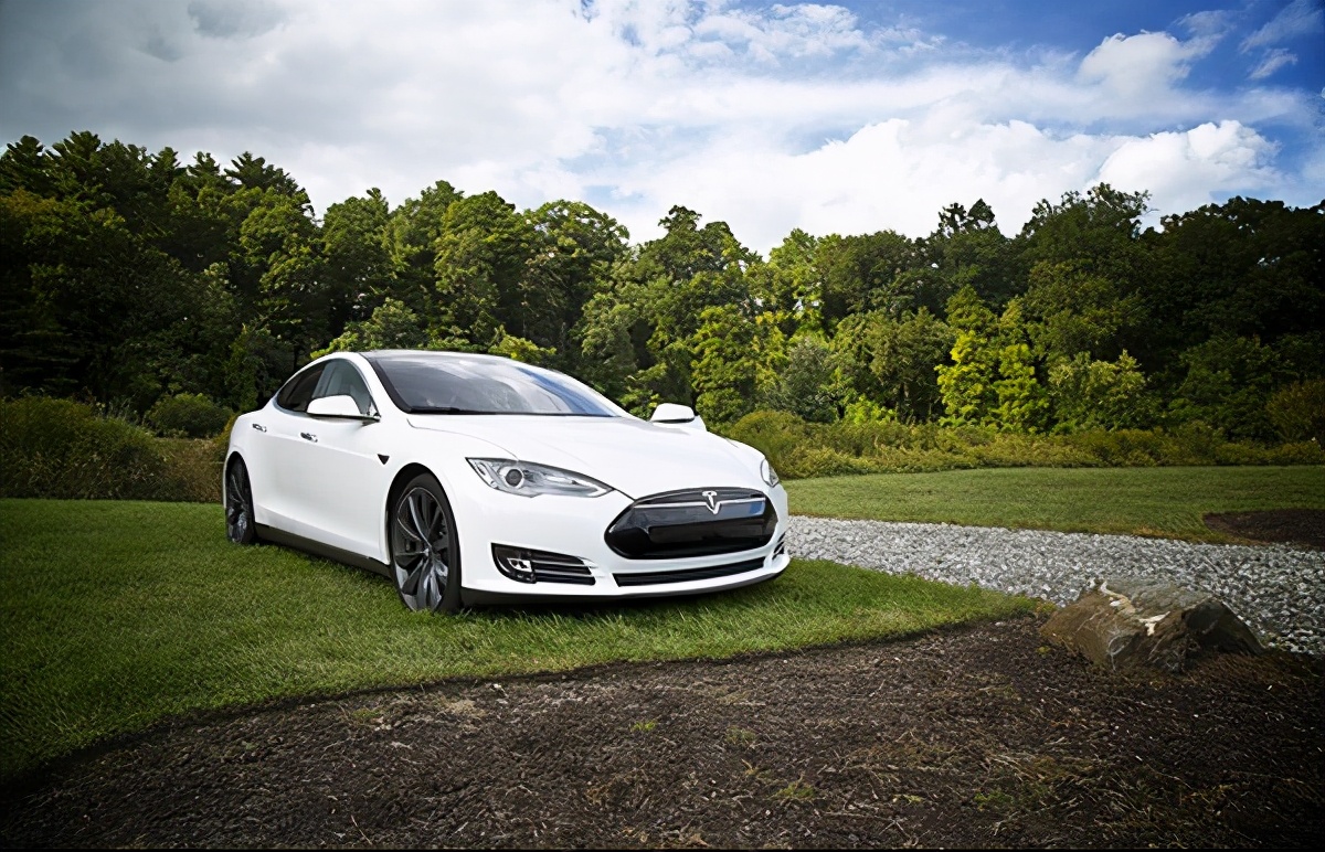 Strange knowledge has increased again, 50 strange and interesting cold ...