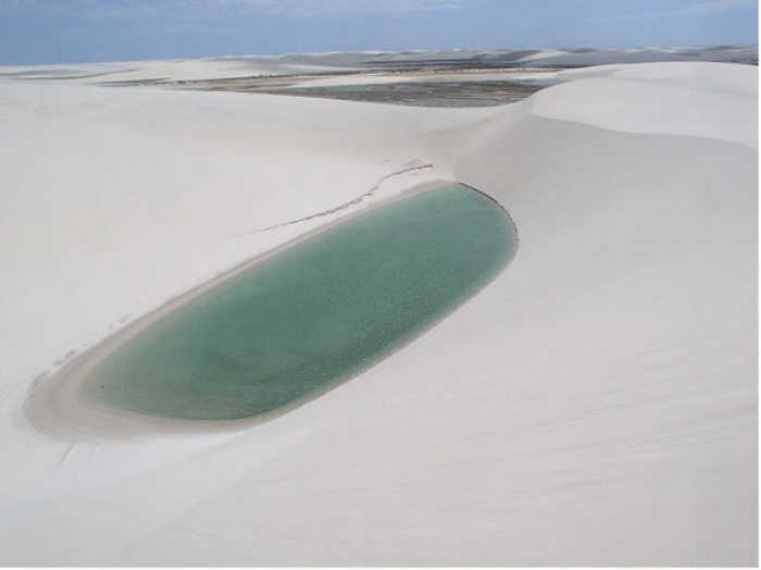 Quicksand can eat people?Unless you struggle desperately, gentle ...