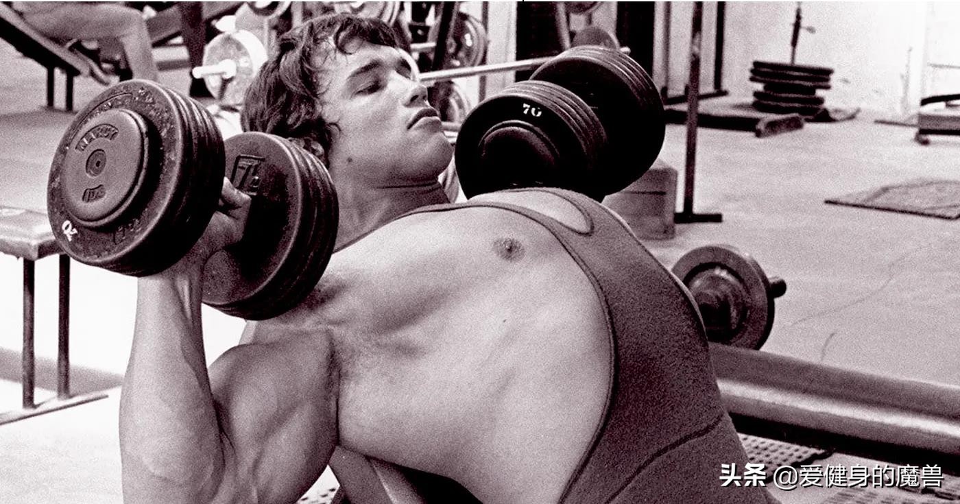 The perfect pectoral muscle casting guide: Incline bench press or flat ...