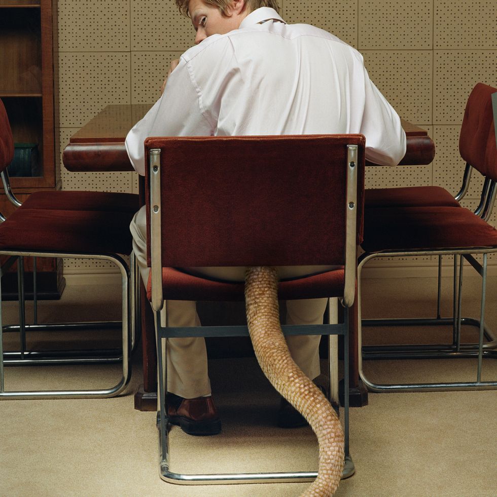 Millions of years ago, our ancestors may have tails - iNEWS