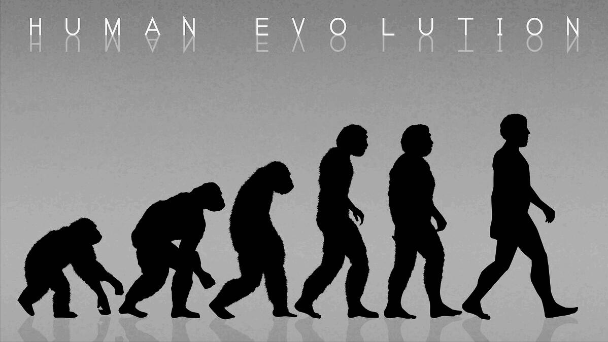 Do humans come from an alien planet?Scientists question the theory of ...