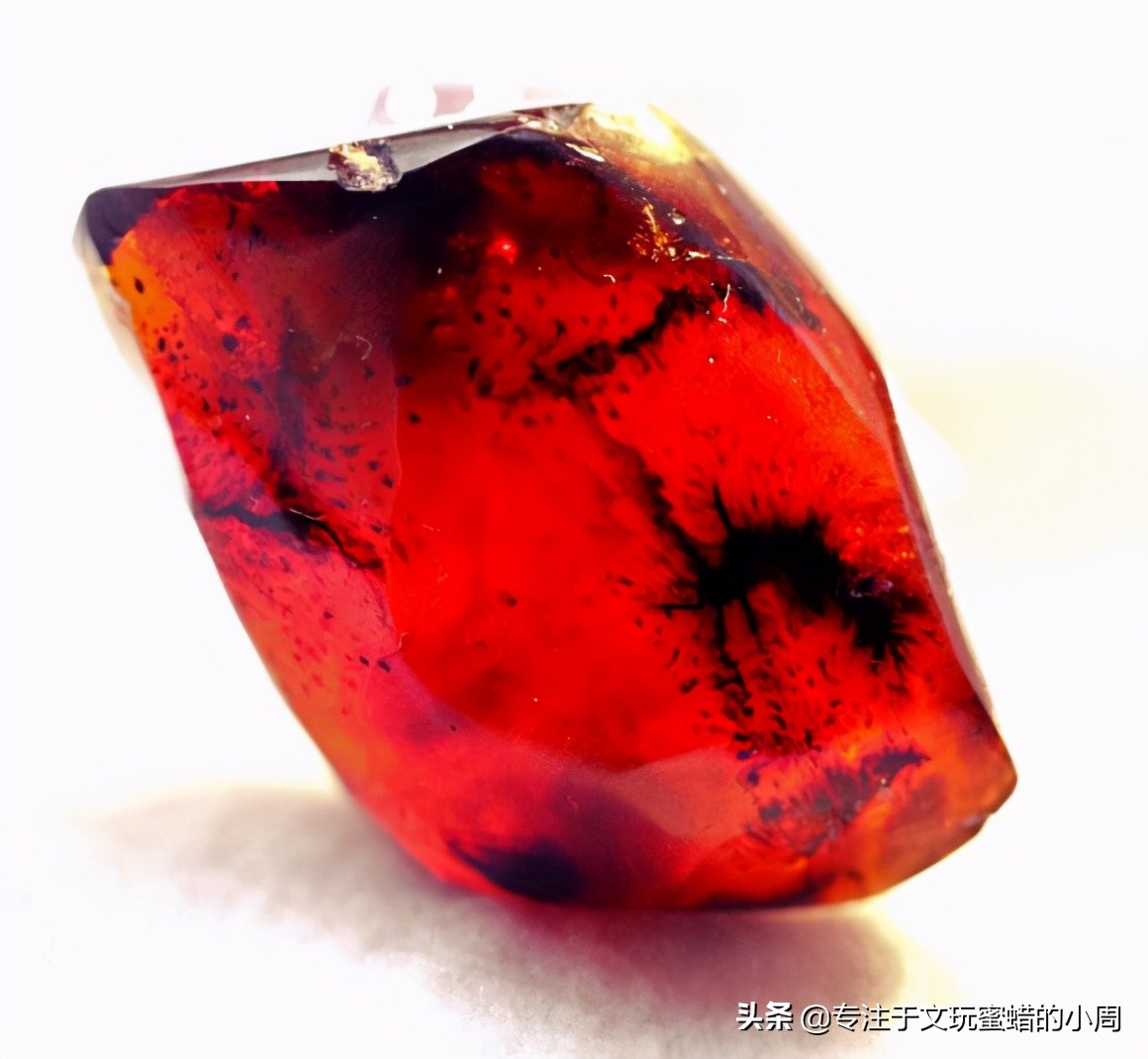 The world amber looks at the Baltic Sea, and the Chinese amber looks at ...
