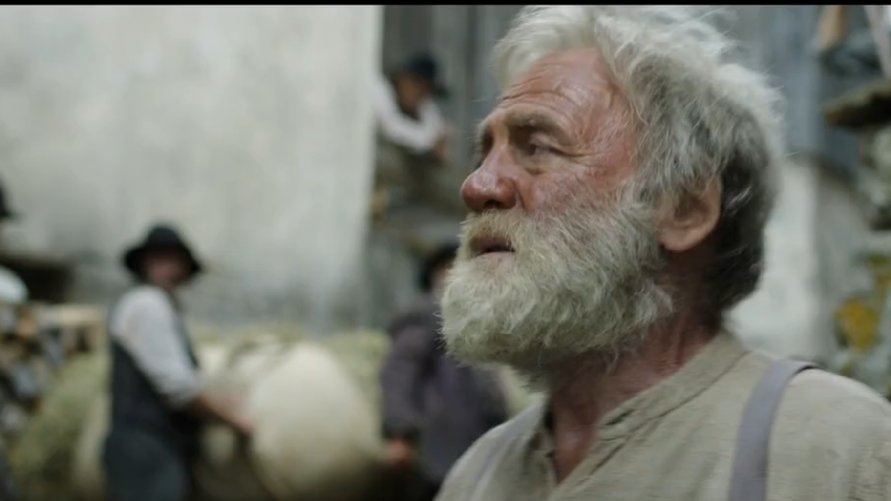 The aesthetic dimension of the movie "Heidi and Grandpa" is actually ...