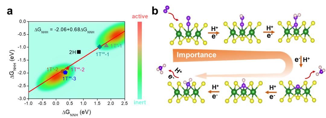 Electron localization of metastable molybdenum disulfide promotes ...