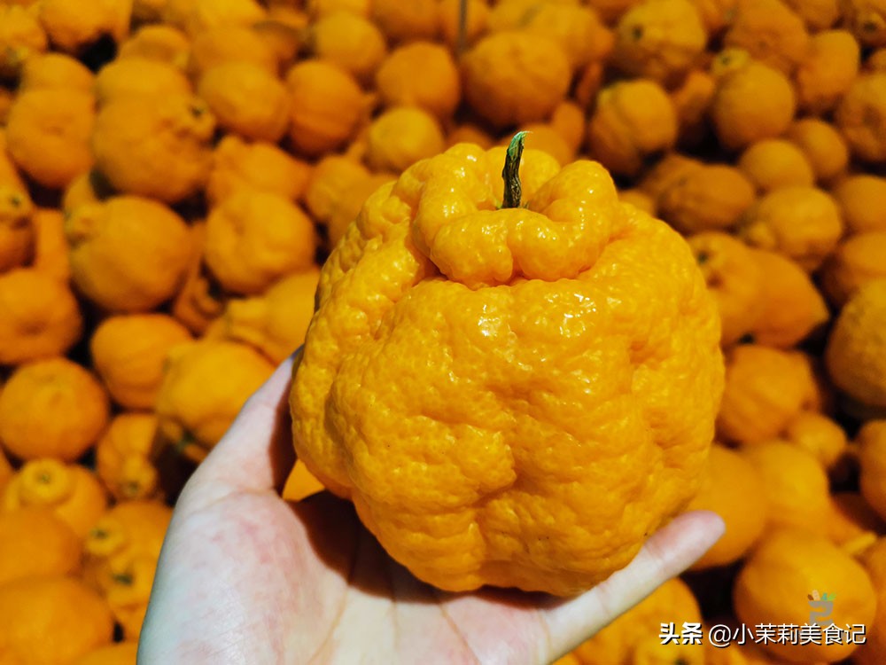 To buy ugly oranges, choose hard or soft?Fruit grower: keep in mind "4 ...