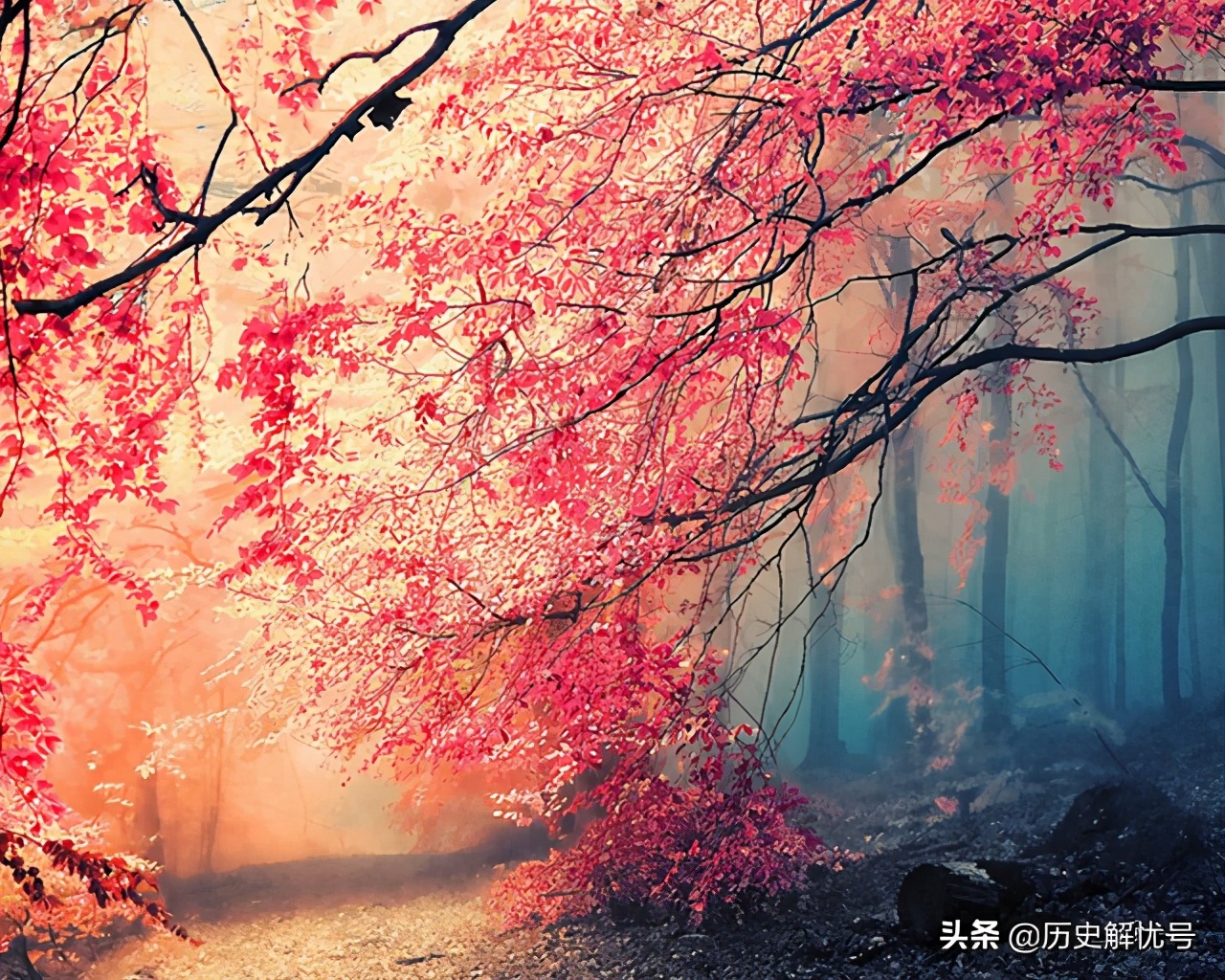 These three poems written by three people who have been treacherous and ...