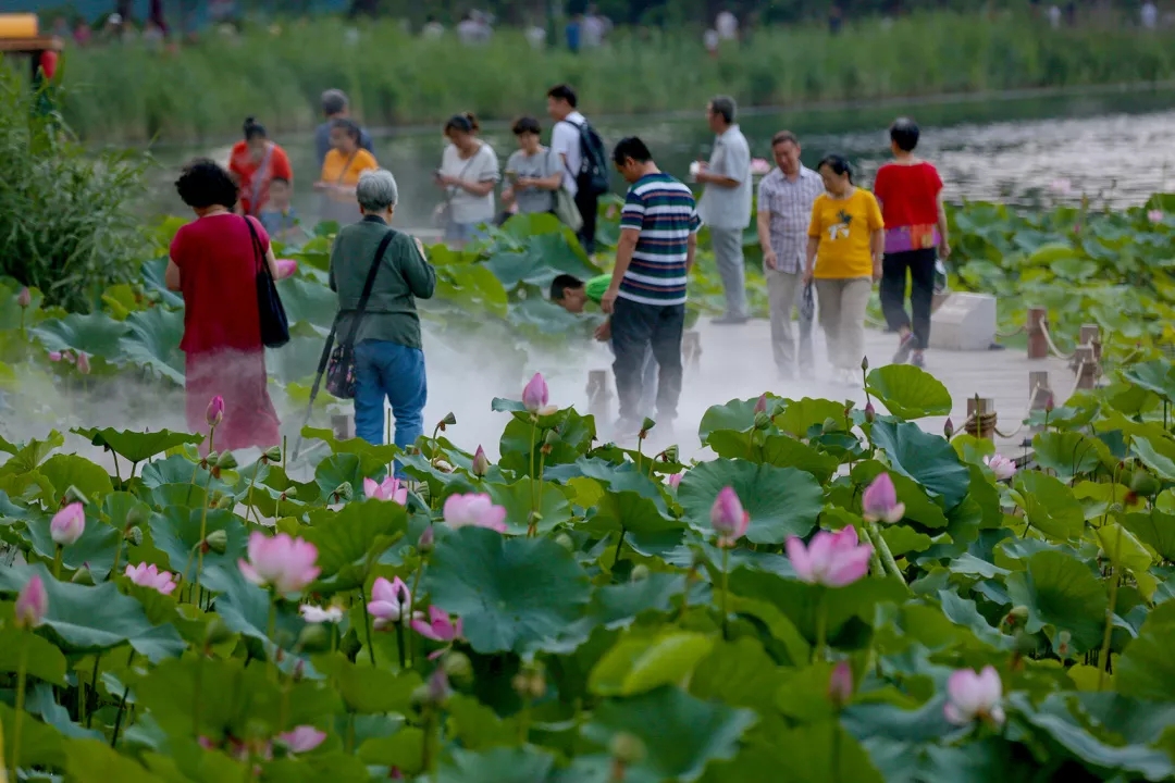 What?Beijing-Xihai is such a beautiful place, you still don't know? - iNEWS