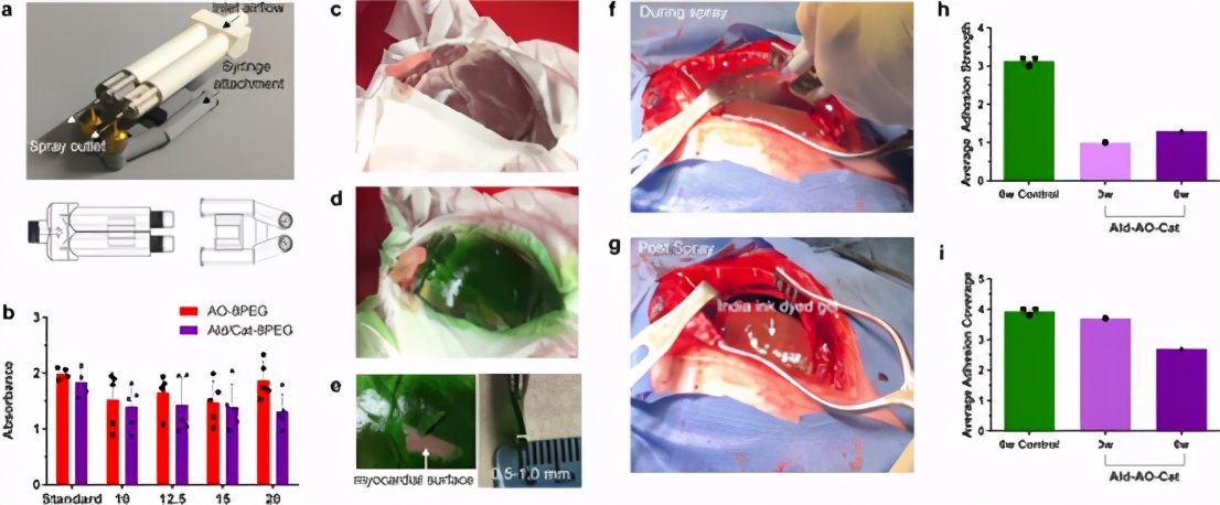 "Nature·Communication" Catechol-functionalized oxime cross-linked PEG ...