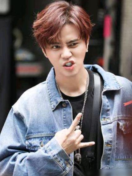Show Luo applies facial masks to pet dogs and suns all the expensive ...