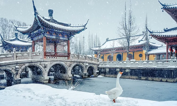 An amateur photographer who photographed the most beautiful ancient ...