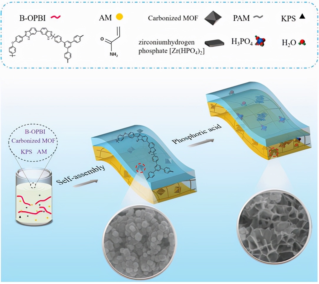 AU Sun Guoxing/Shen Da Wang Lei: Carbonized MoF hydrogel, used to ...
