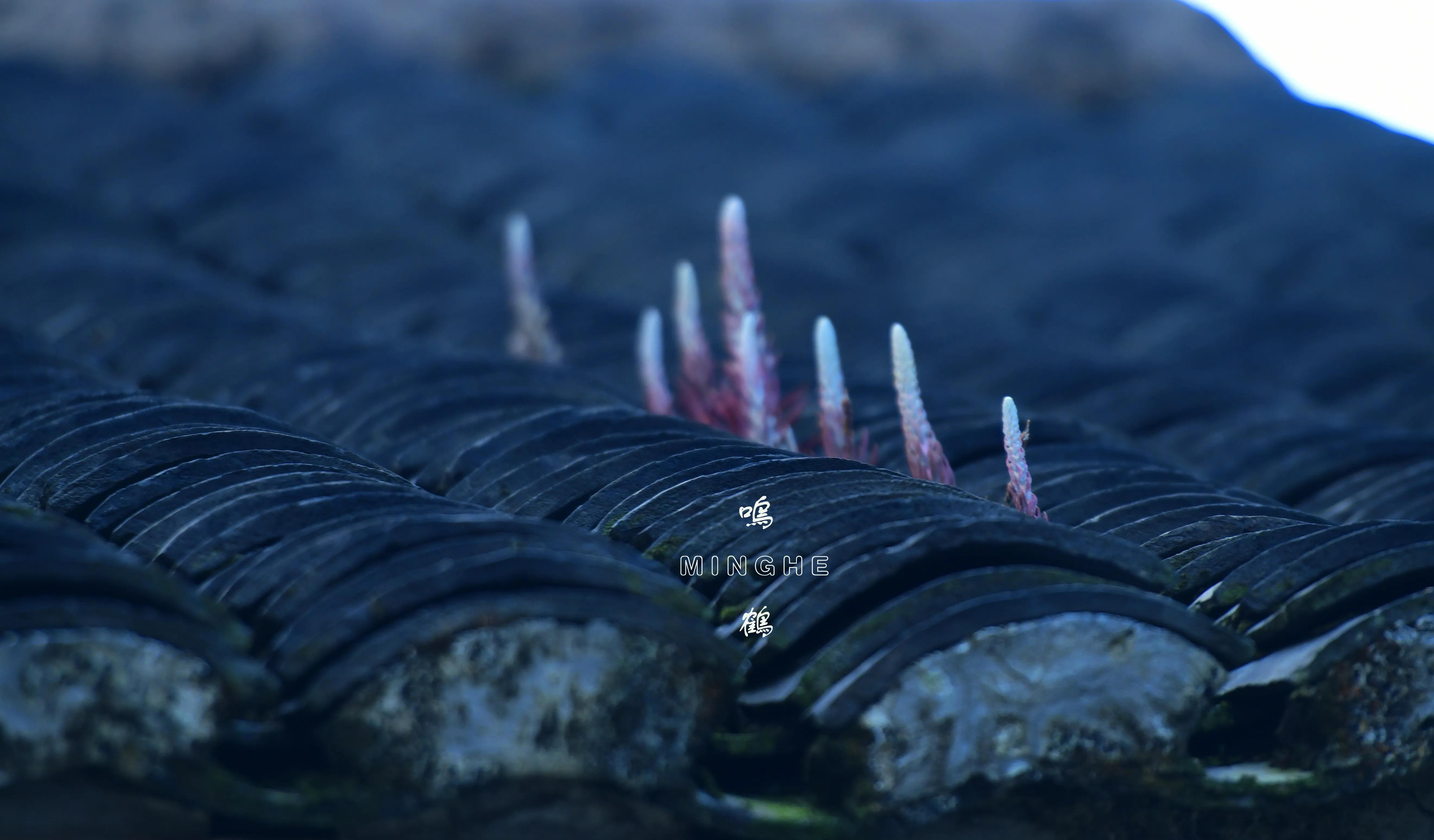 The Thousand Year Old Town Minghe - iNEWS