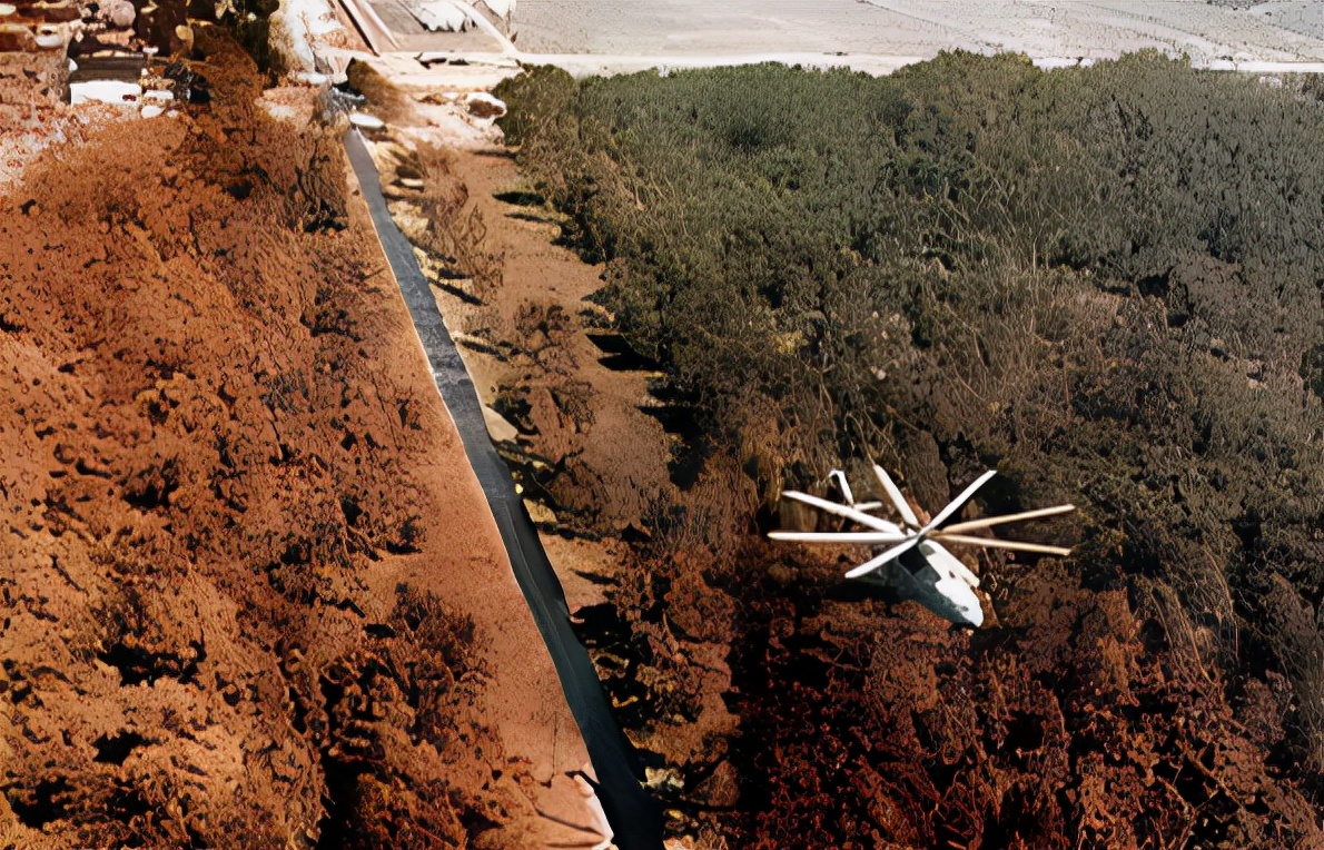 It is said that the flora and fauna near the Chernobyl nuclear power ...