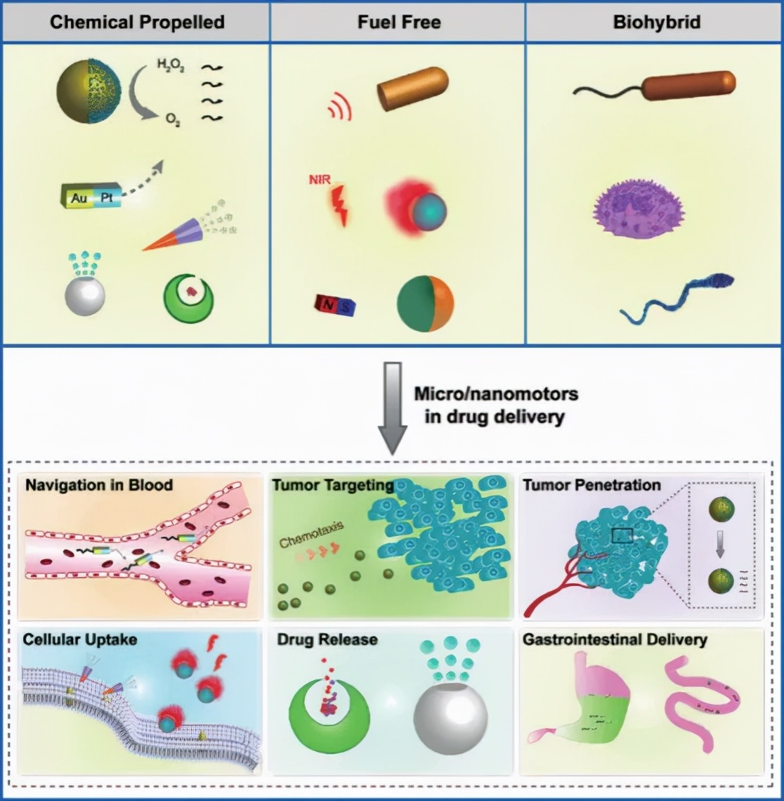 Application progress of micro-nano motors in drug delivery - iNEWS
