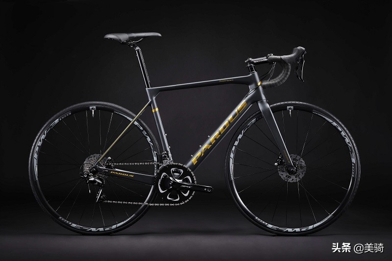 Behind the chariot of the national team: the history of PARDUS ...