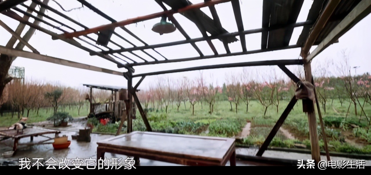 "The Longing for Life" has become "shabby", the guest is out of shape ...