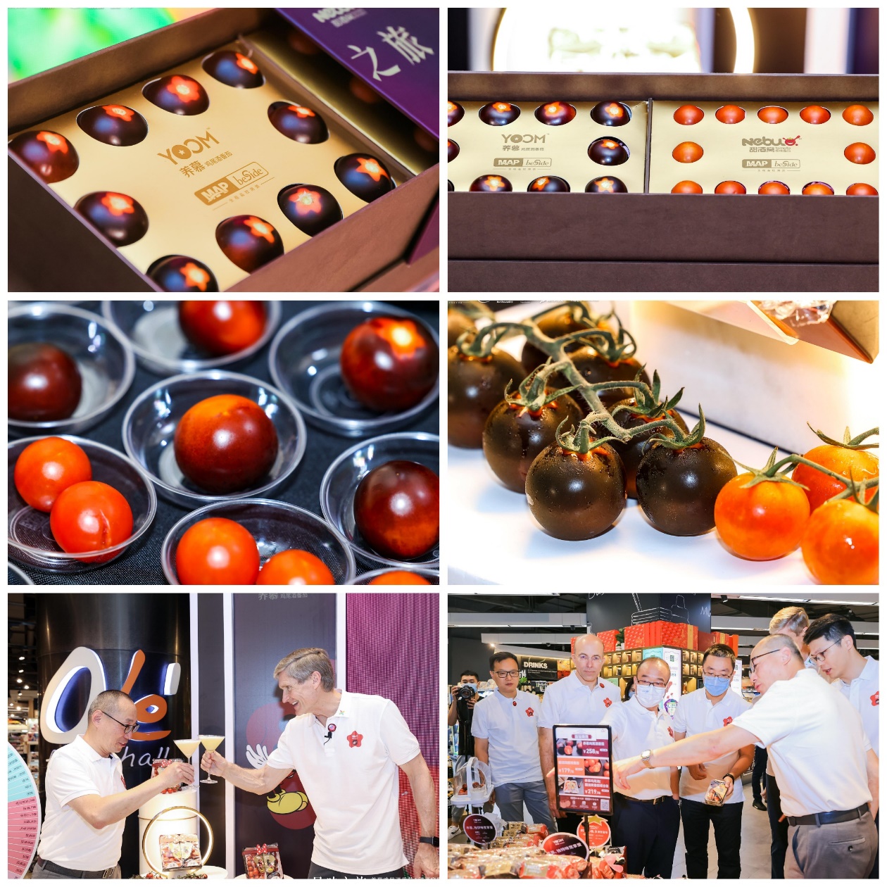 Dole was invited by Syngenta Group China to experience the "Flavour ...