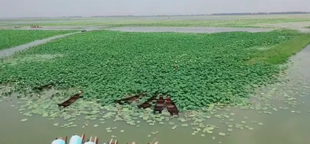 Chacha Lake National Wetland Park: visitors are like Zhihu Lake with ...