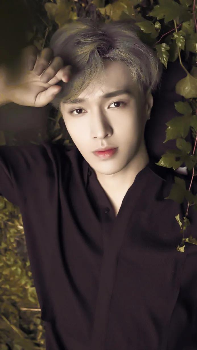 Celebrity gossip-Liu Tao, Di Lieba, Wang Junkai, Yang Mi, Zhang Yixing ...