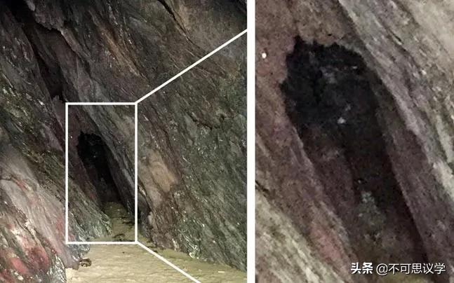 Supernatural creatures in Kentucky caves: Shadow Predators - iMedia