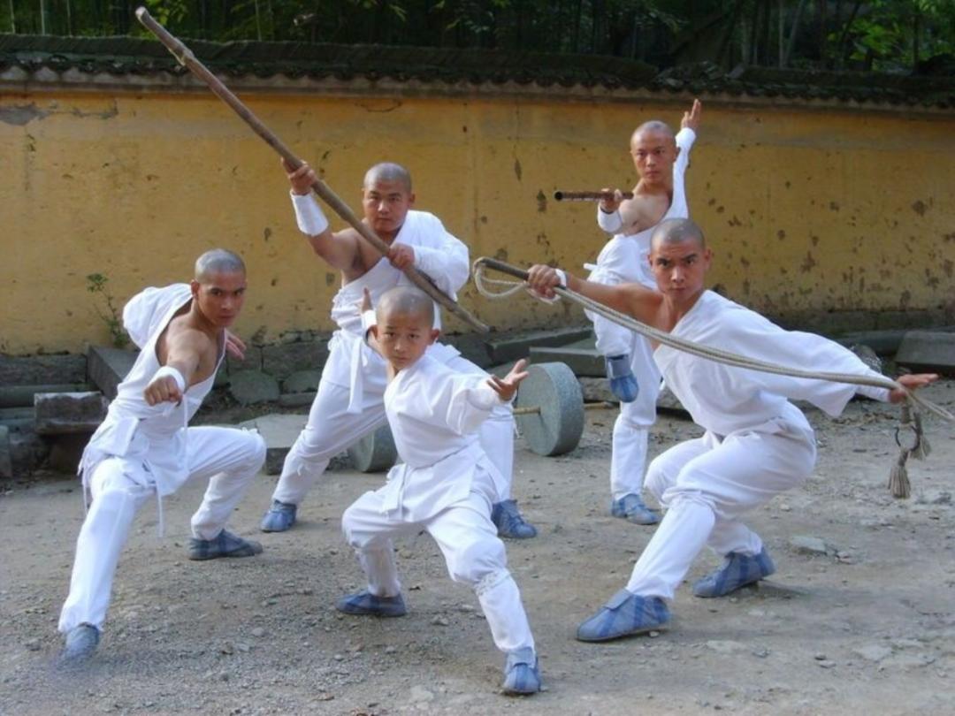 The Legend of Shaolin Temple: Wushu Champion Elite, Representative of ...